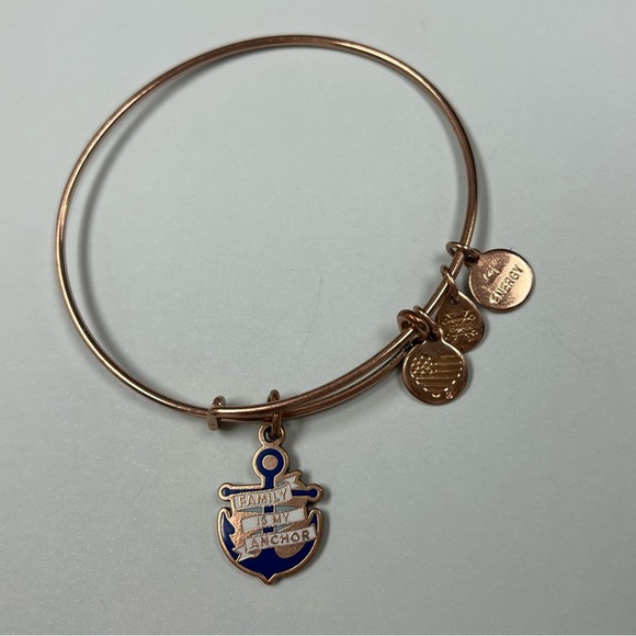 Alex and Ani | Jewelry | Alex And Ani Family Is My Anchor | Poshmark